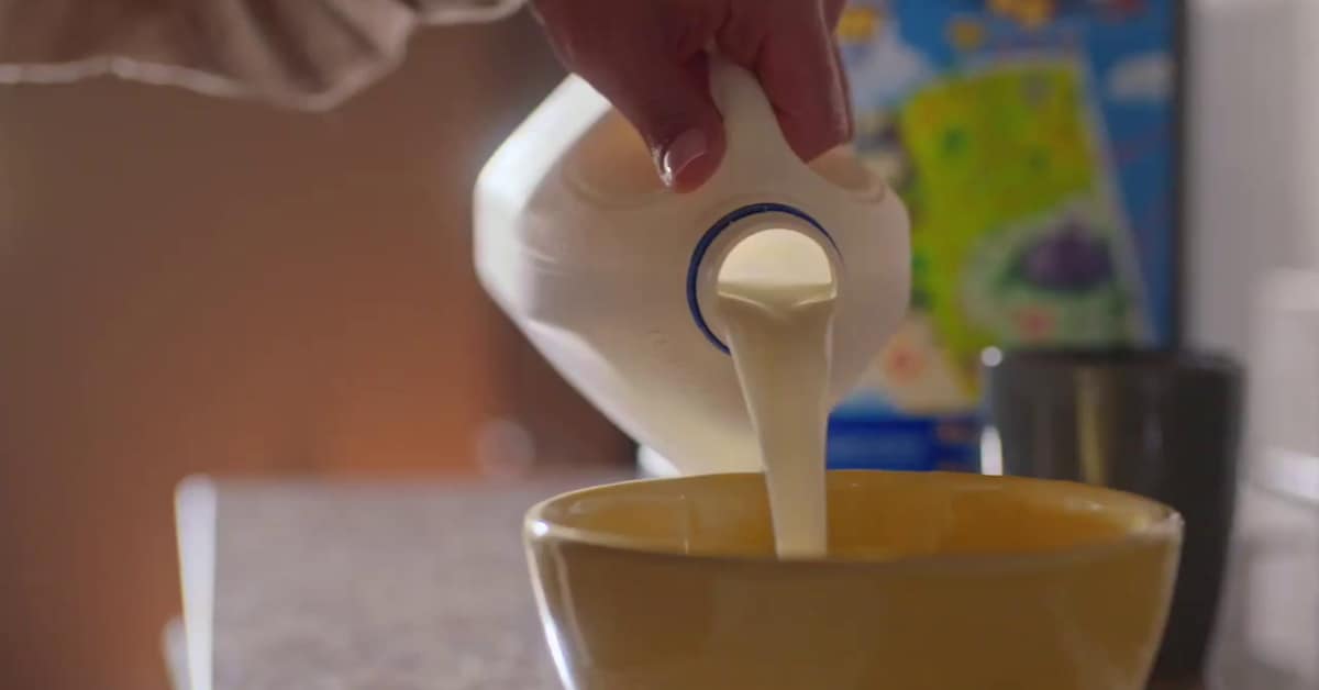 Kamala Harris Releases New Ad Featuring Hadley Duvall - MeidasTouch News