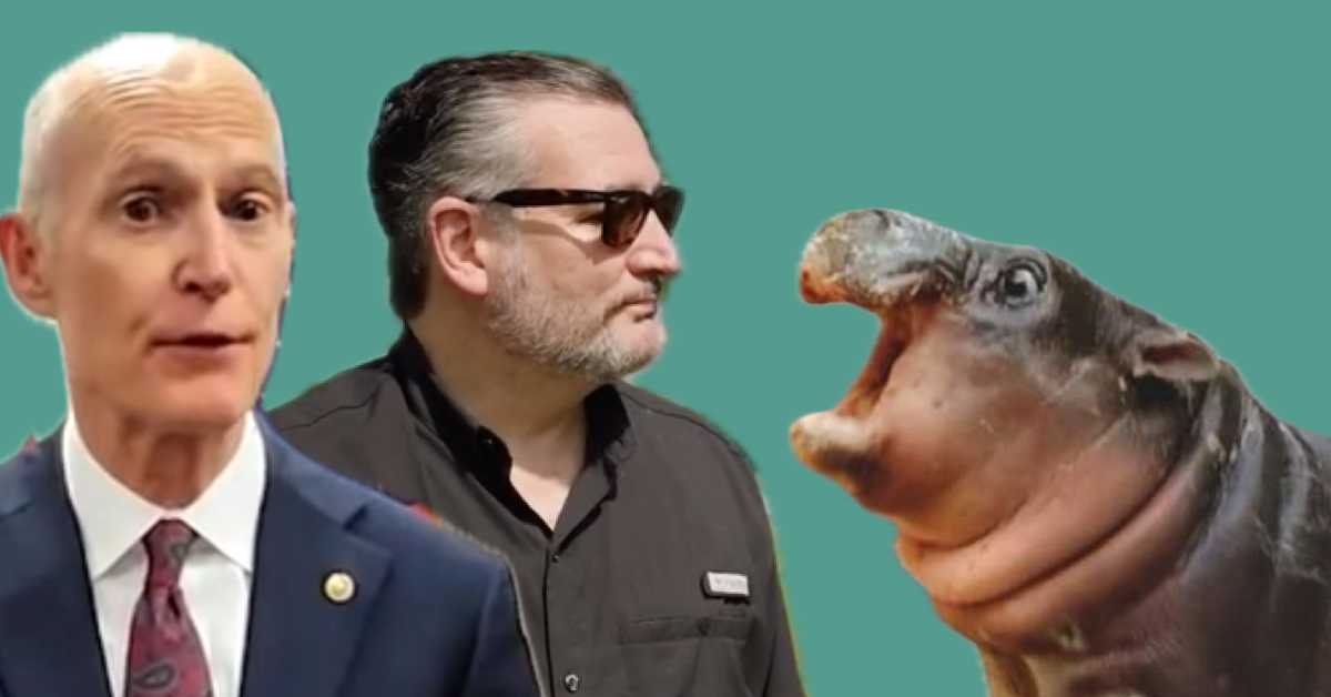 88 MAGA Republicans Including Trump Endorsed by Trophy Hunting Group ...