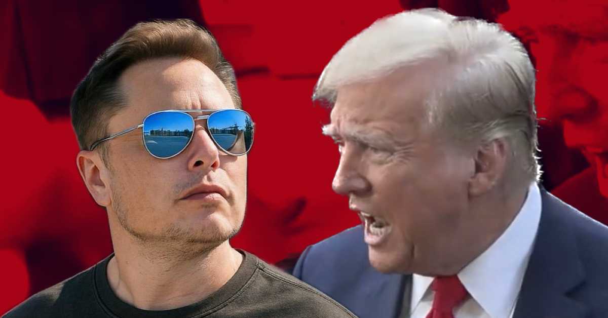 Trump Escalates, Threatens to Deport Elon Musk - MeidasTouch News