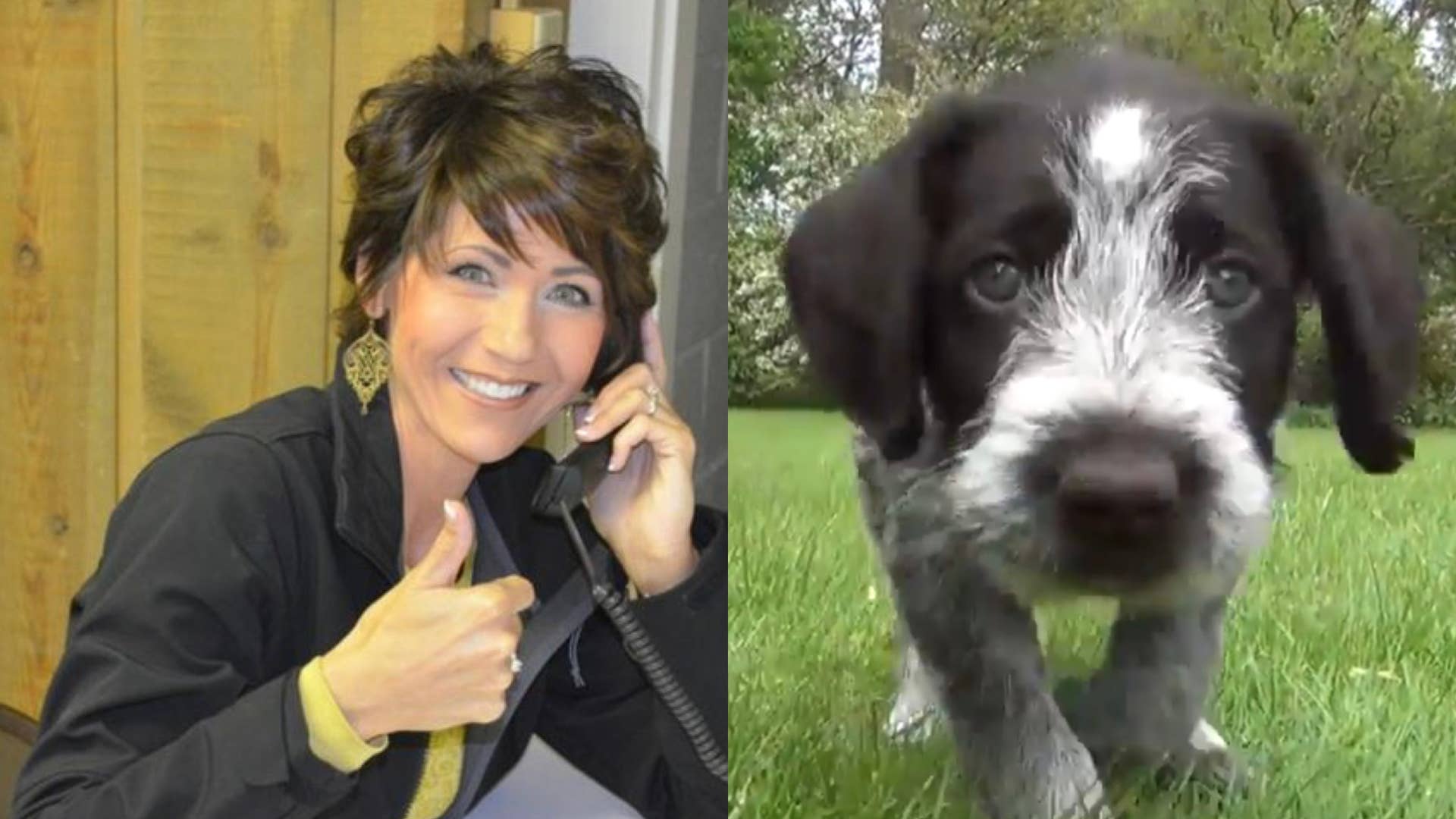 Trump Announces Georgia Policy Event Featuring Puppy Killer Kristi Noem ...