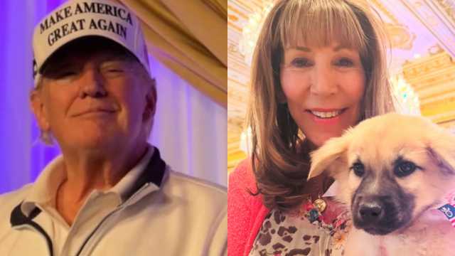 Trump-Adorned, Golden Goat “Idol” Fetches $300,000 at Mar-a-Lago ...