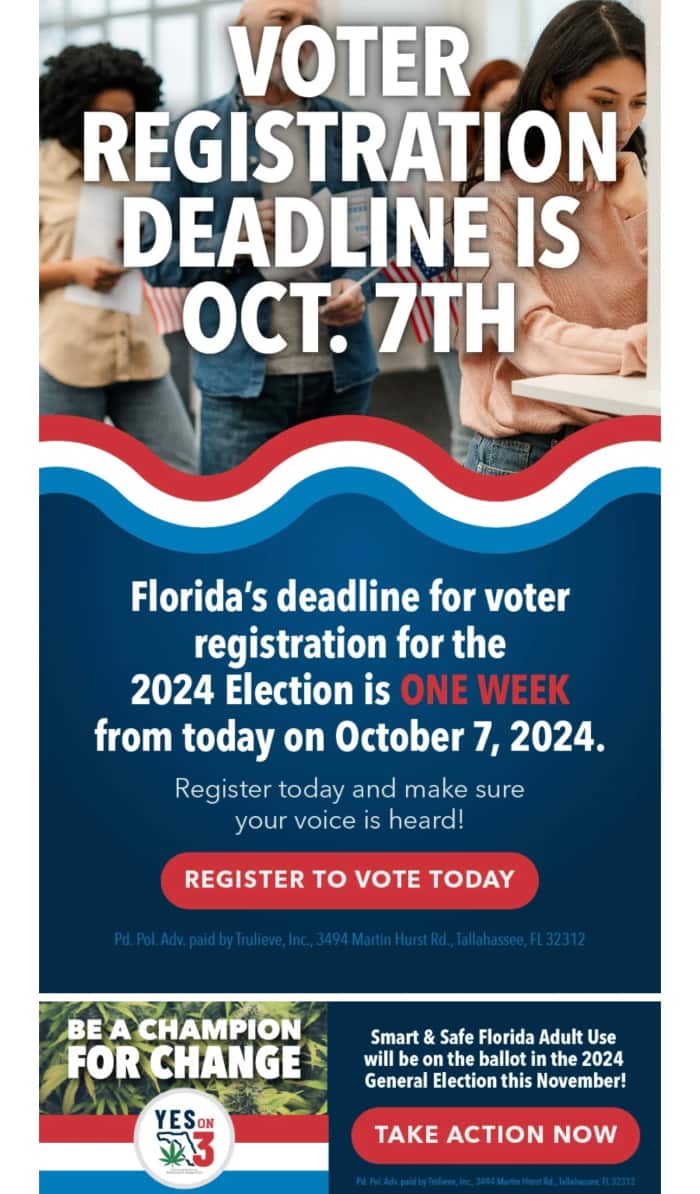 Dems Secret Weapon in FL - Marijuana Dispensaries - MeidasTouch News