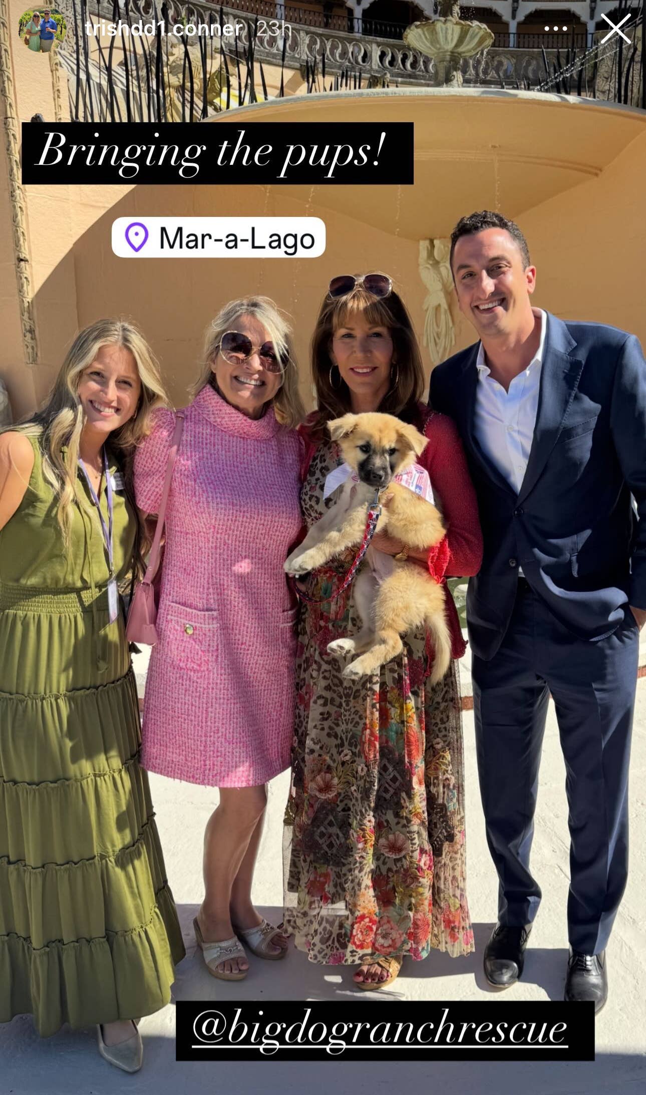 Trump Hosts Puppy Auction with Puppy Mill-Linked Group at Mar-a-Lago ...