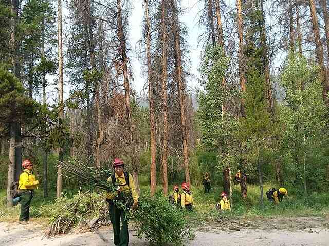 44 Republicans Voted Against Forest Management Wildfire Prevention in ...