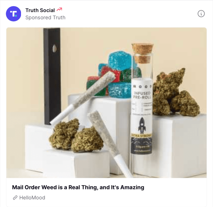 Hypocrite Anti-Marijuana Trump Profits Off Weed Ads On Truth Social ...