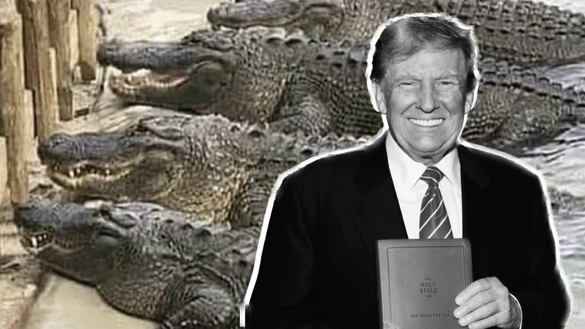 Trump Proposes Siccing Alligators on Migrant Children and Their ...