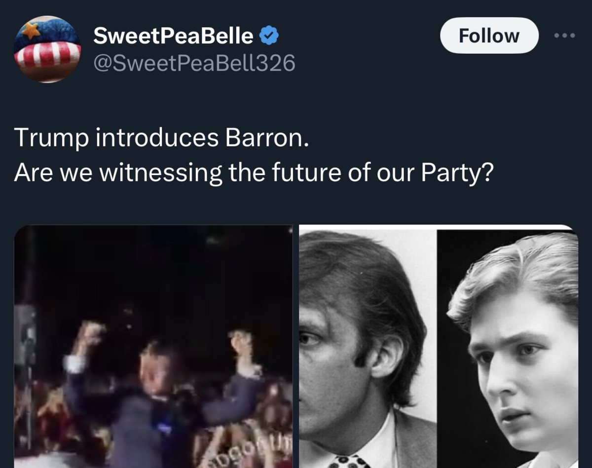 Bizarre MAGA Reaction to Barron Trump Rally Appearance - MeidasTouch News