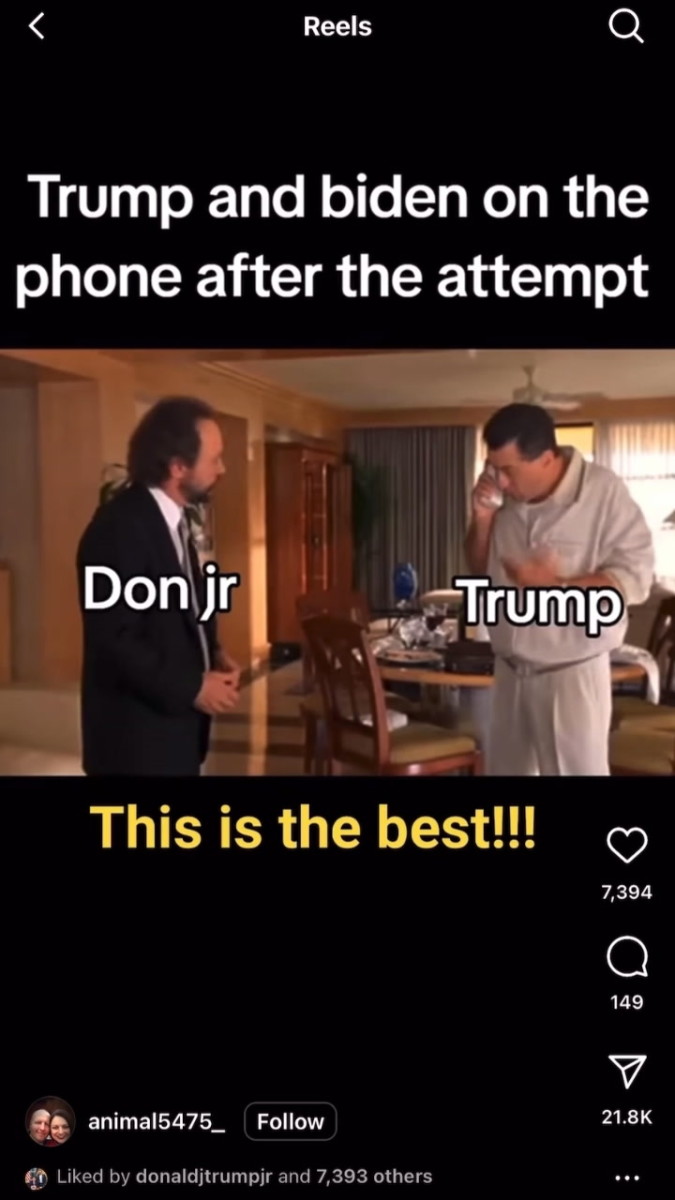 Don Jr Shared Meme Video of "Trump" Threatening and Blaming "Biden ...