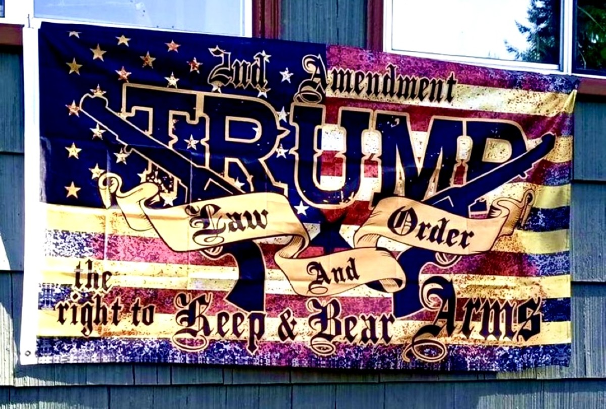 Trump Calls for Prison on Flag Desecration - MeidasTouch News