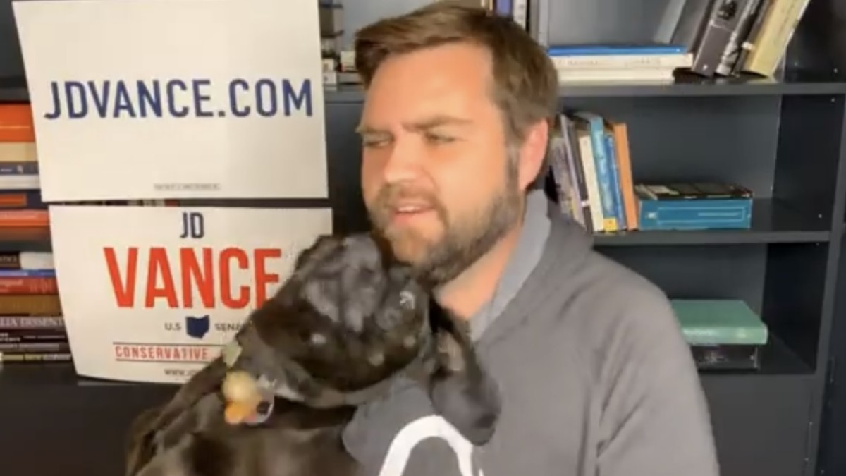 JD Vance Called His Dogs "Idiotic" for Howling - MeidasTouch News