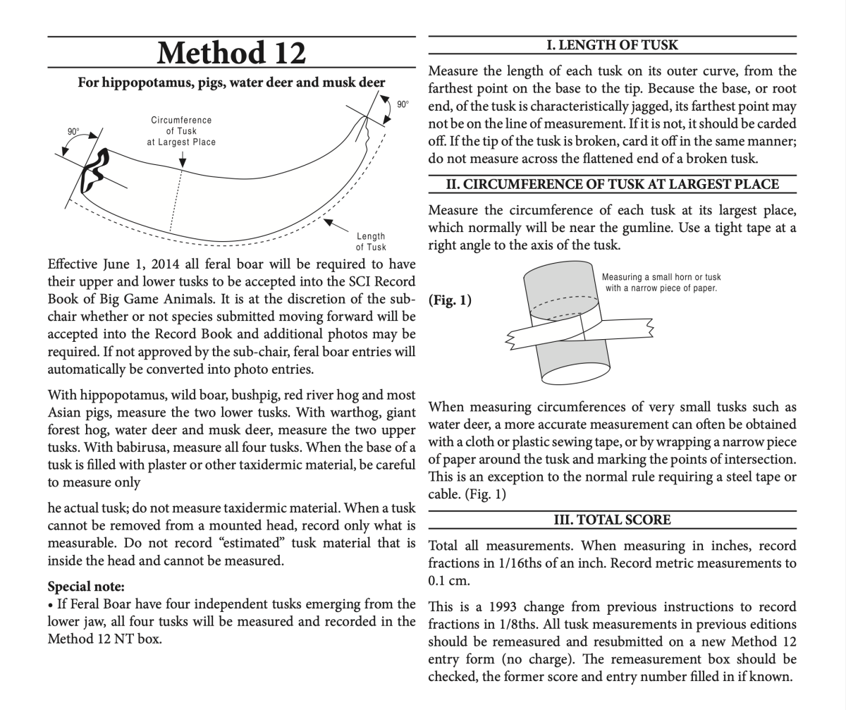 Trump Endorsed by Group Maintaining Hunting Records for Pygmy Hippos ...