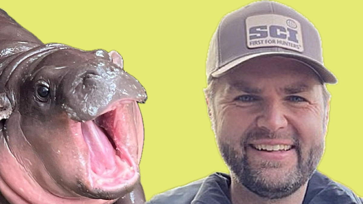JD Vance Fished With Trophy Hunting Group That Ranks Pygmy Hippo Kills ...
