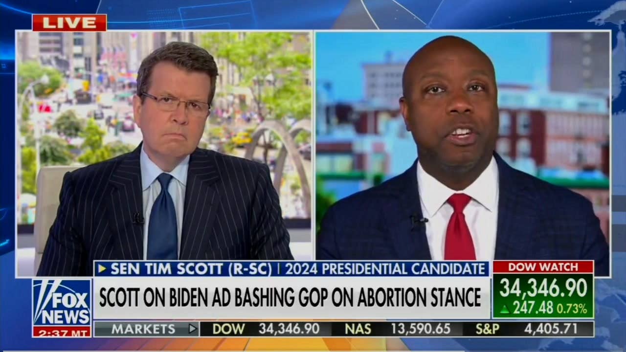 Tim Scott on Abortion Support in the US - MeidasTouch News