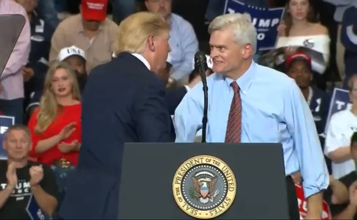 Trump Suggests Recall of “Incompetent” Republican Senator Bill Cassidy ...