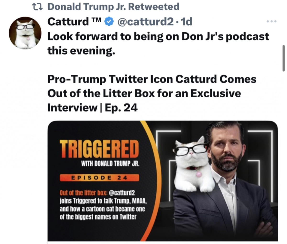 Trump Praises Catturd Account, Boosts Attack on GOP Voters ...