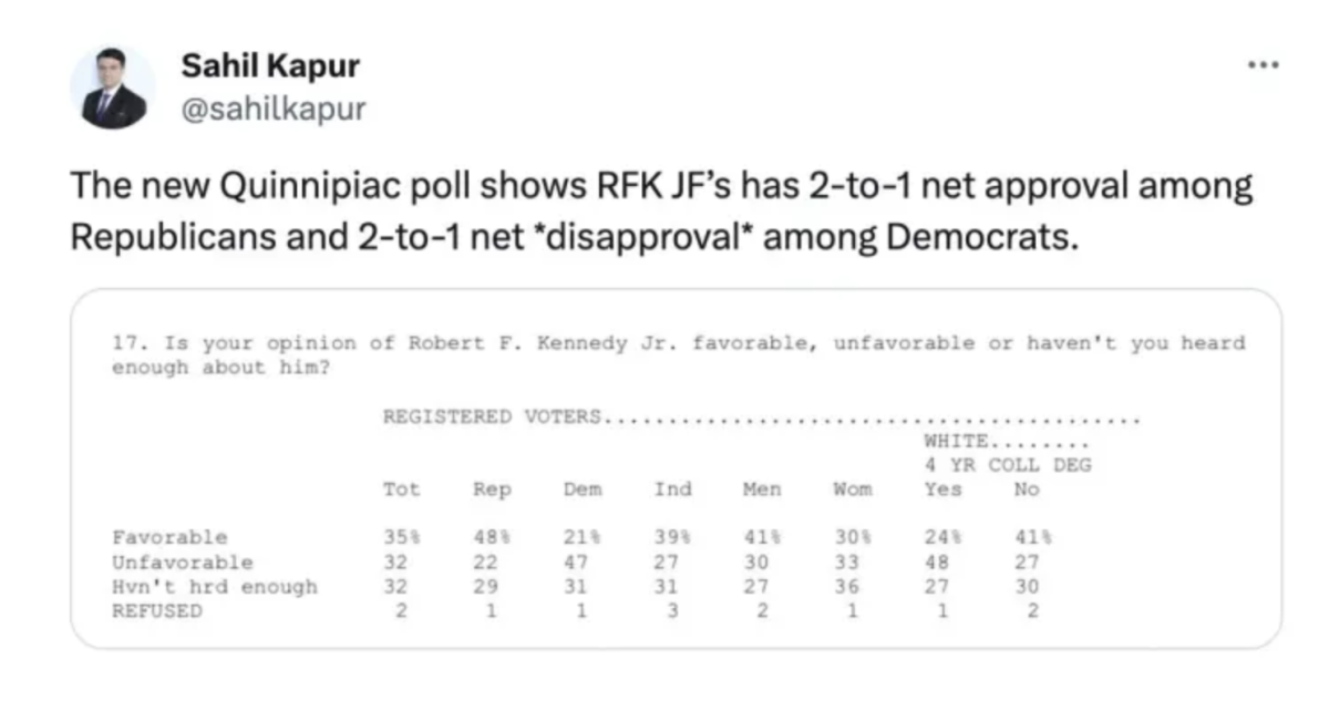 RFK Jr. Pulling More Money From GOP Donors than Dem Donors ...