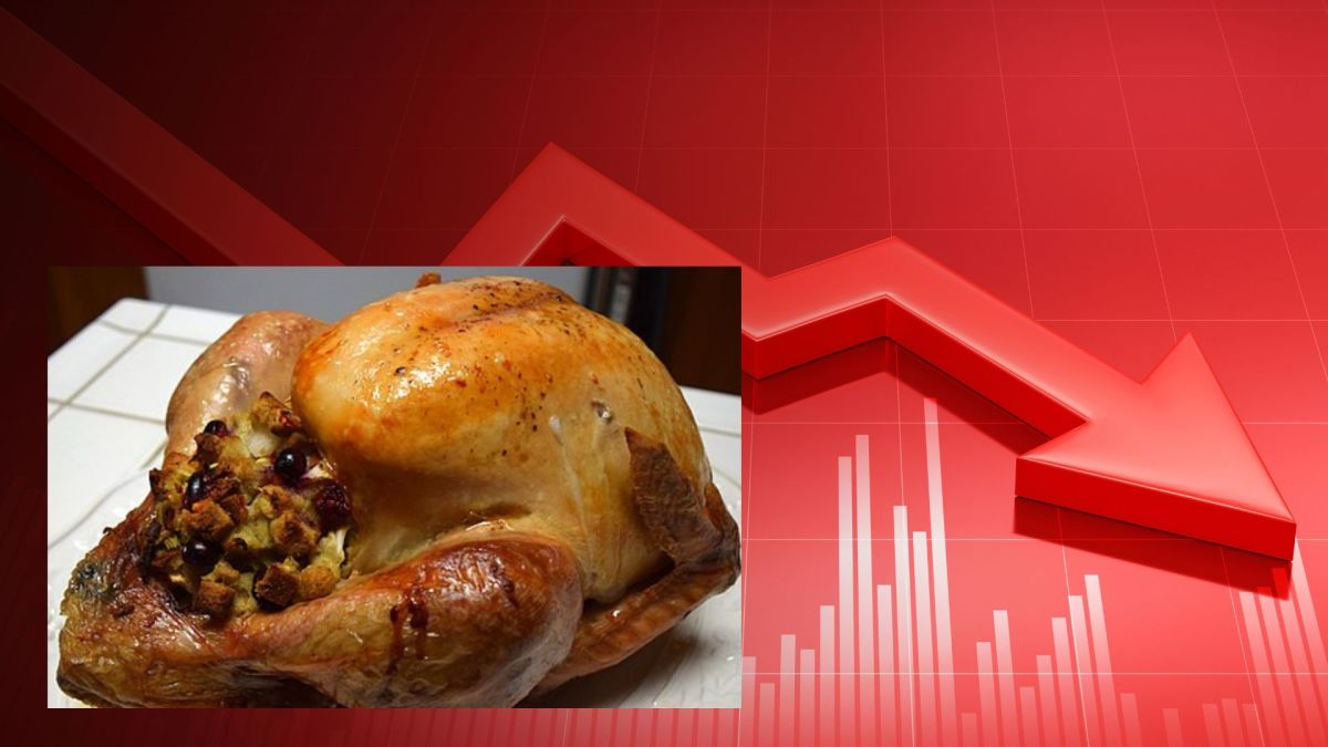 Thanksgiving Food and Travel Costs Much Lower Than Previous Years ...