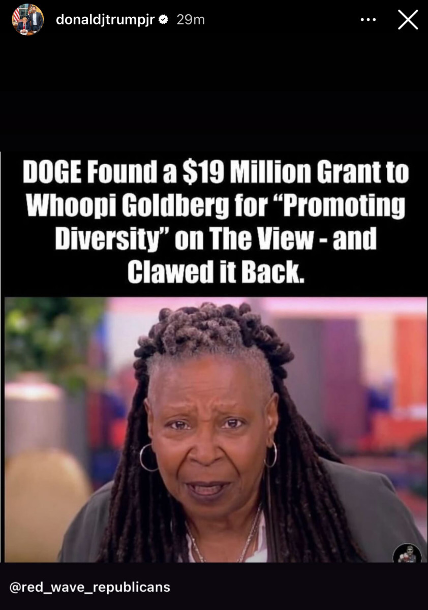 Don Jr. Spreads False DOGE Claim About Whoopi Goldberg And The View ...