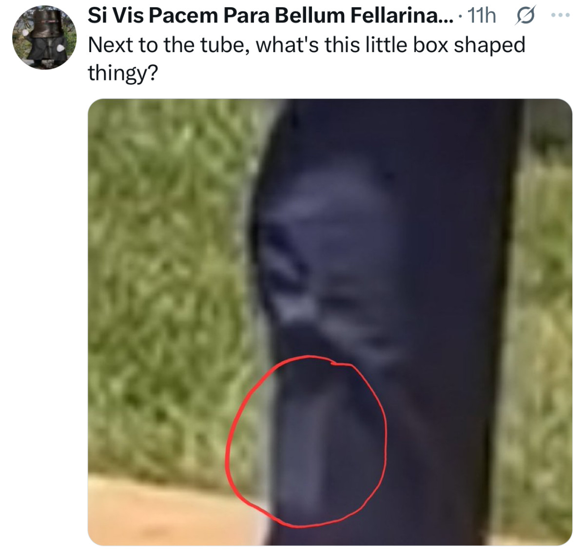 Catheter? Leg Braces? Internet Reacts to Apparent Bulges in Trump’s ...