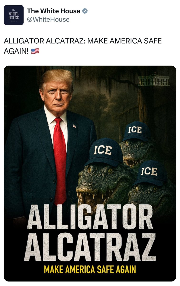 White House Shares Meme of Trump with Alligators Wearing ICE Hats ...
