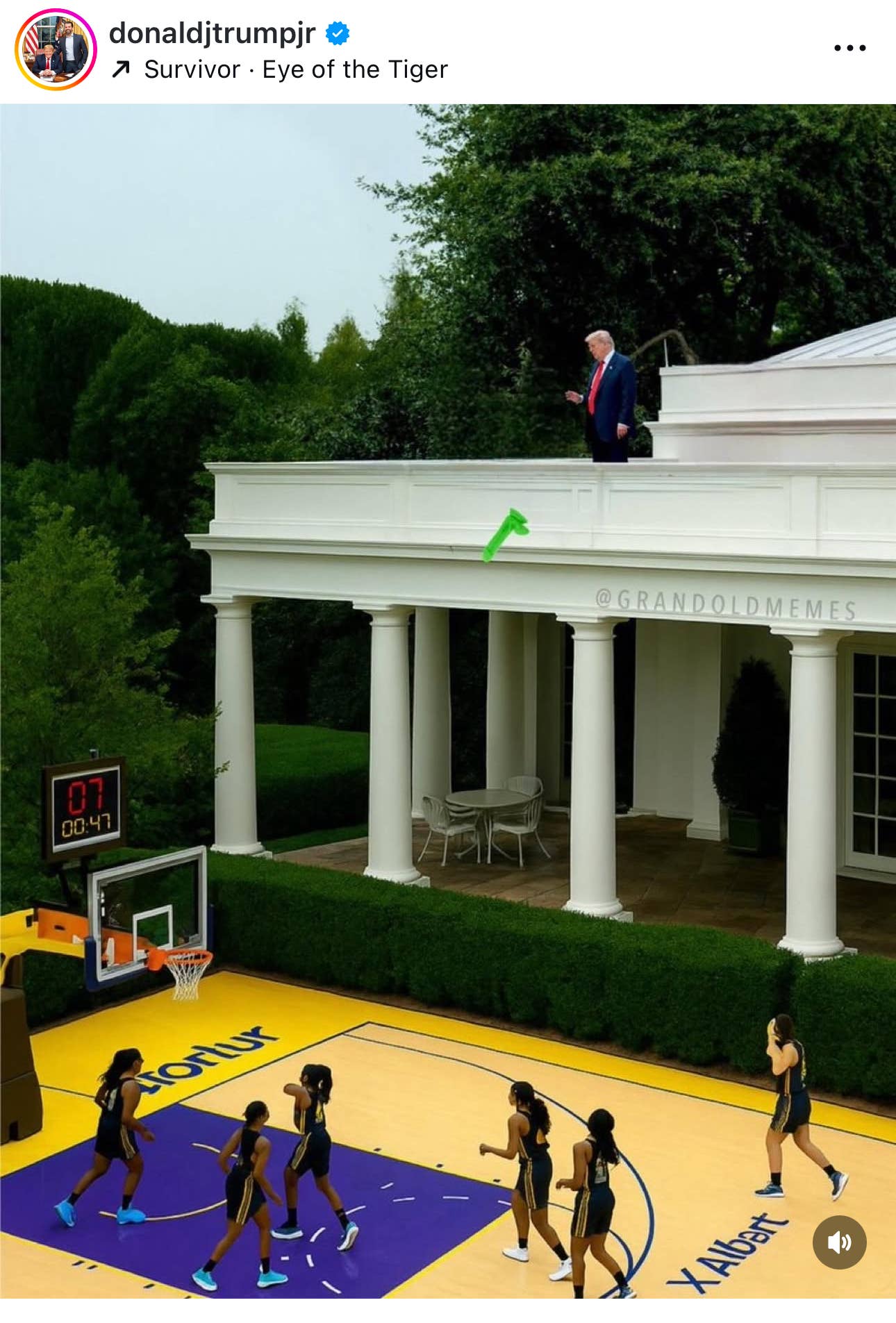 Don Jr. Shares Meme of Trump Throwing Green Dildo at WNBA Players ...