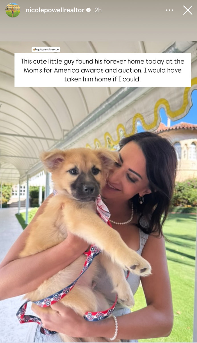 Trump Hosts Puppy Auction with Puppy Mill-Linked Group at Mar-a-Lago ...