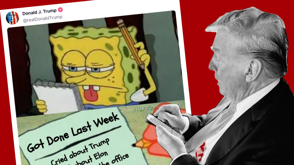 Trump Mocks Federal Workers with SpongeBob Meme - MeidasTouch News