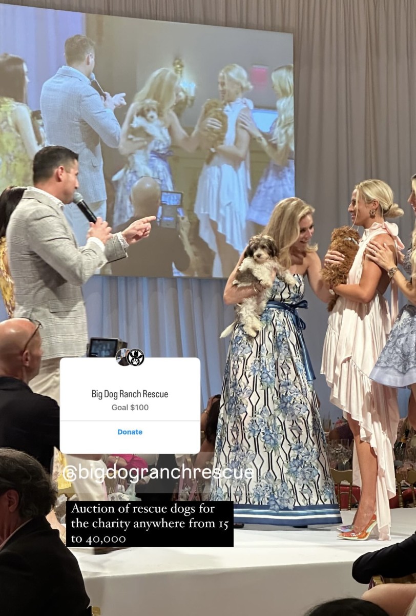 Trump Hosts Puppy Auction At Mar-a-Lago …Again! - MeidasTouch News